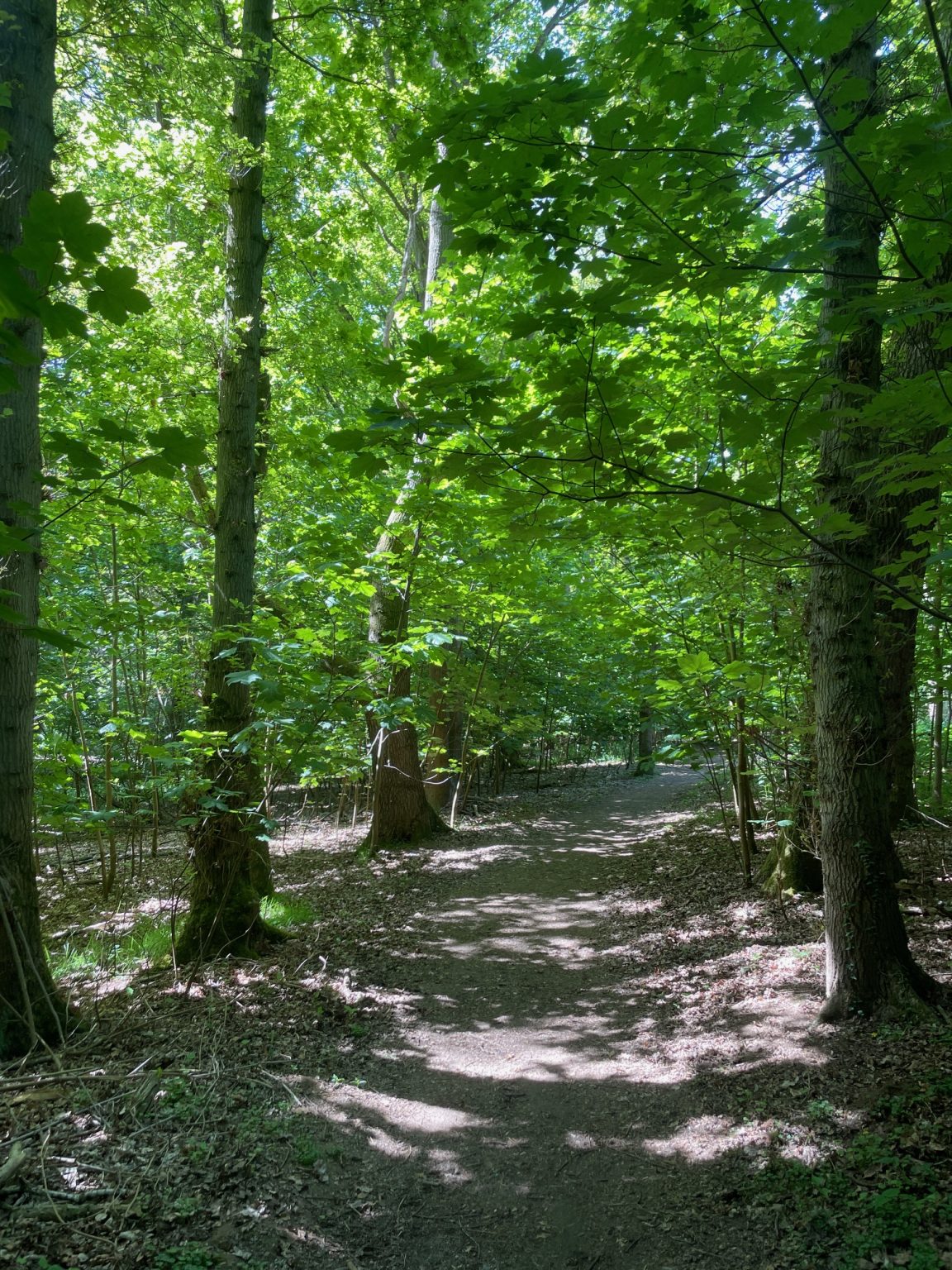 Abundance from simplicity - Heart Mind Breathe