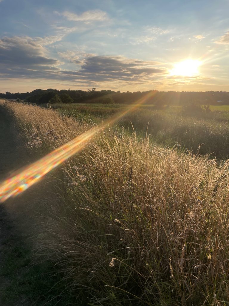 Basic Sanity: Returning To What’s Already Here